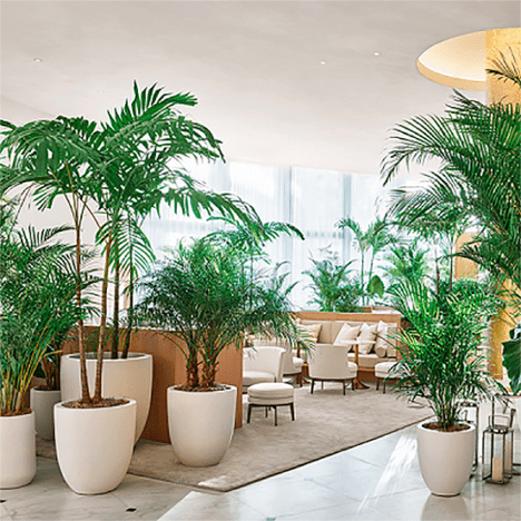 15 ideas para decorar el patio o jardín con macetas y plantas. - TIKINTI