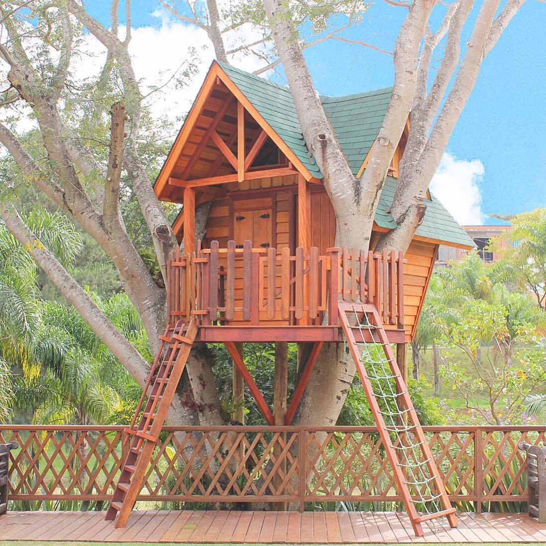 Has realidad tu sueño con una casa en el árbol - TIKINTI