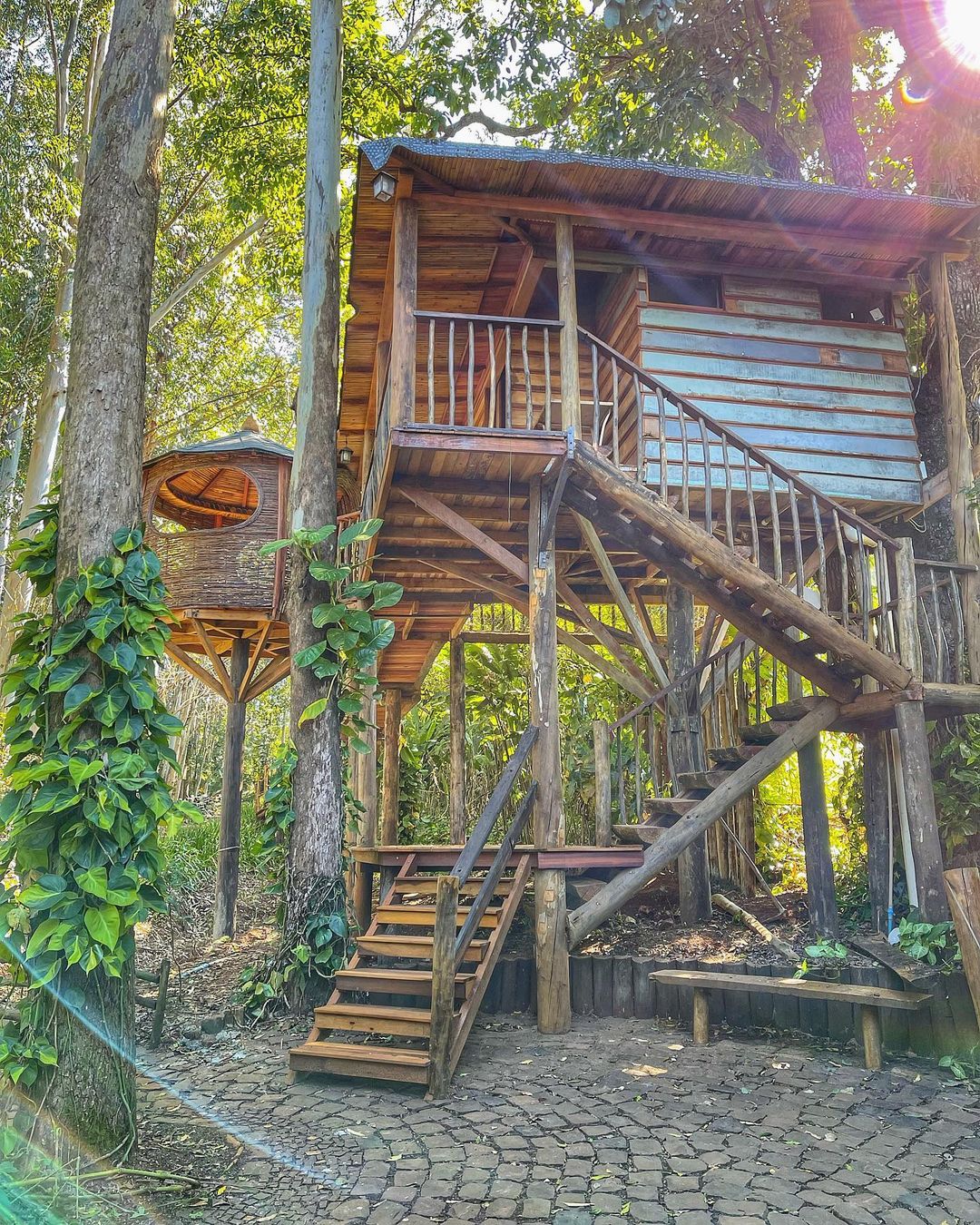 Has realidad tu sueño con una casa en el árbol - TIKINTI