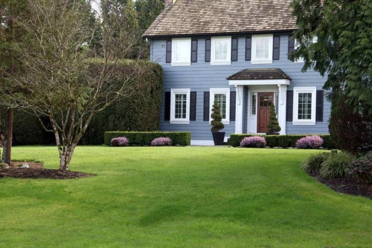 Ideas de casas con fachada de color azul - TIKINTI